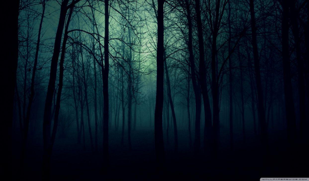 Dark Tree Wallpapers - Top Free Dark Tree Backgrounds - WallpaperAccess