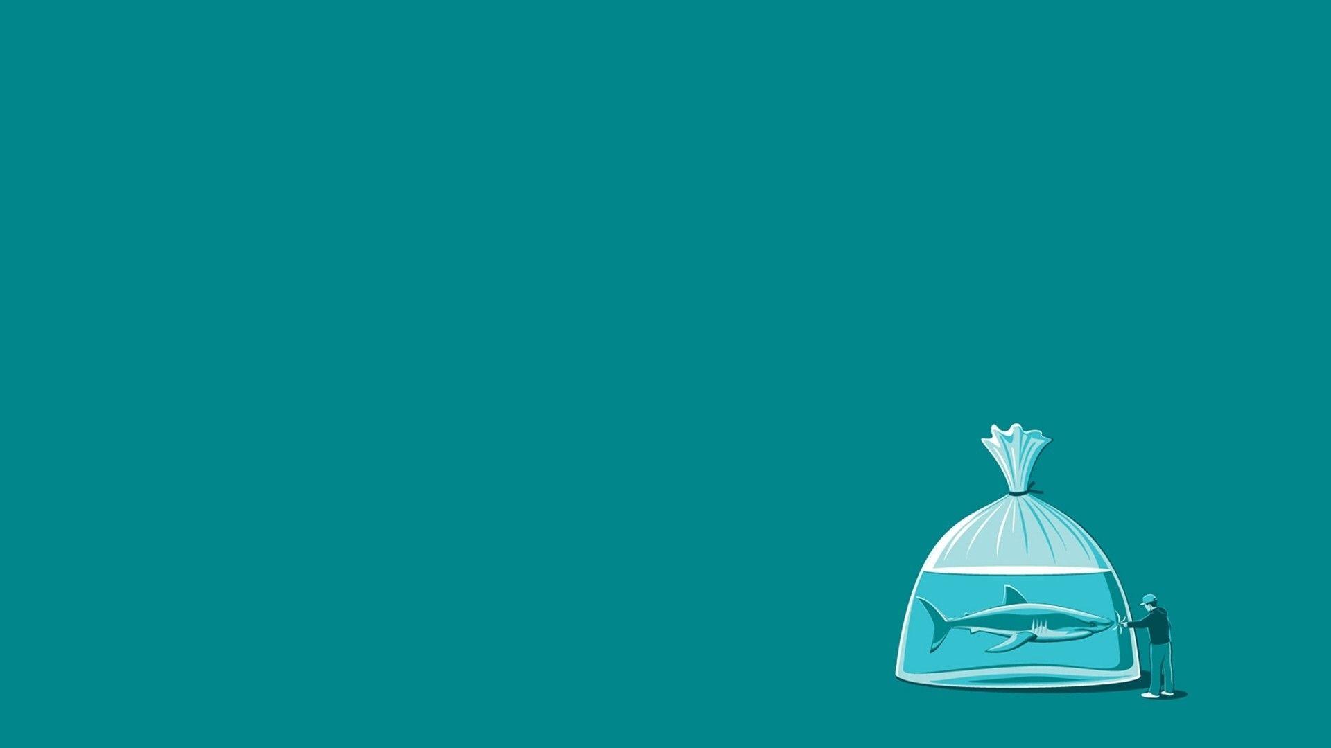 Cute Shark Wallpapers - Top Free Cute Shark Backgrounds - WallpaperAccess