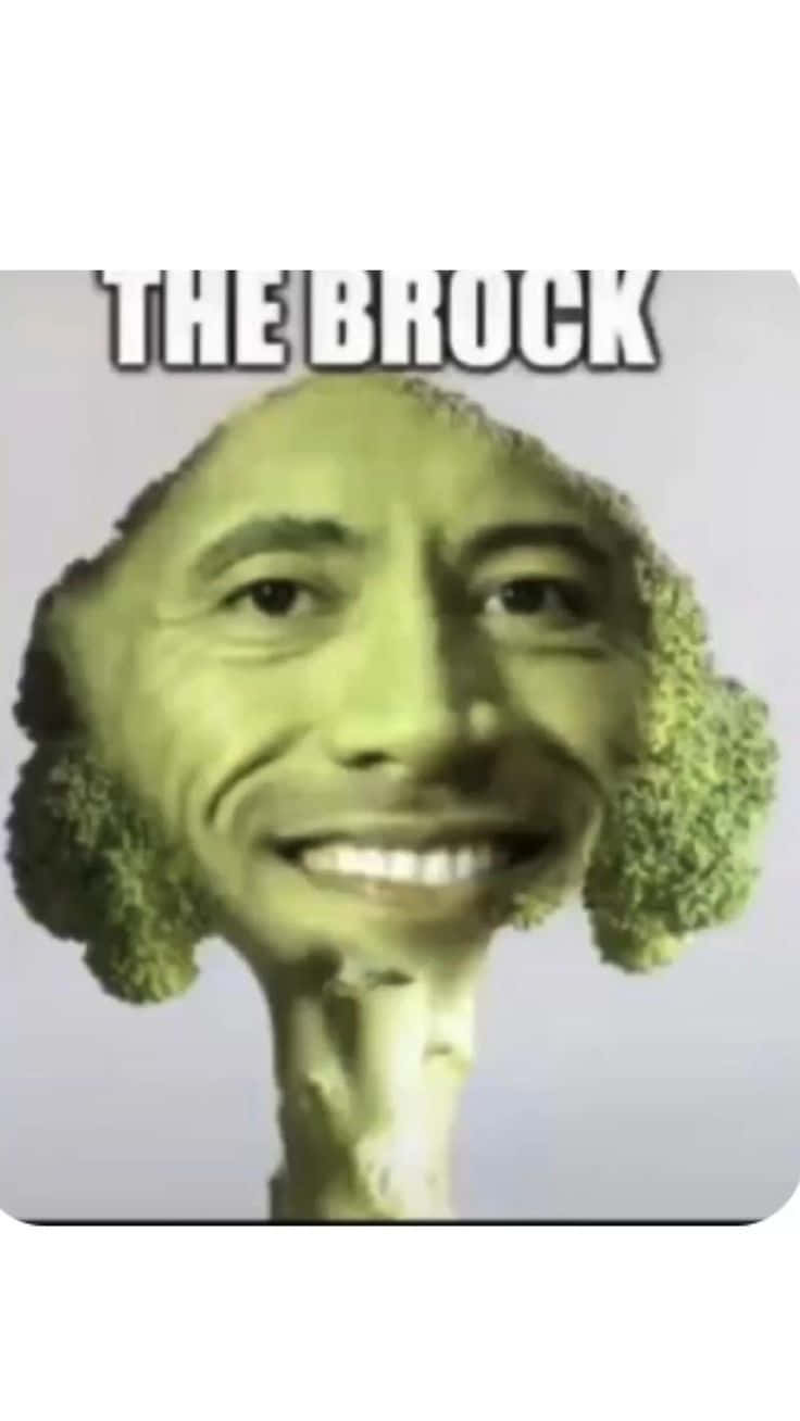 The Rock Meme Wallpapers - Top Free The Rock Meme Backgrounds ...