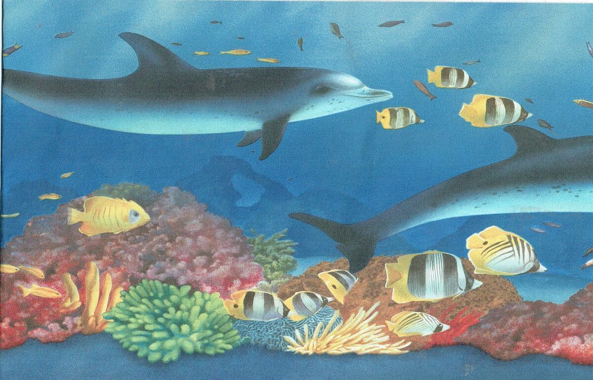 Aquatic Life Wallpapers - Top Free Aquatic Life Backgrounds ...