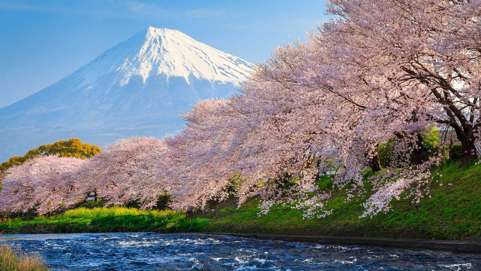 Night Mount Fuji Wallpapers - Top Free Night Mount Fuji Backgrounds ...