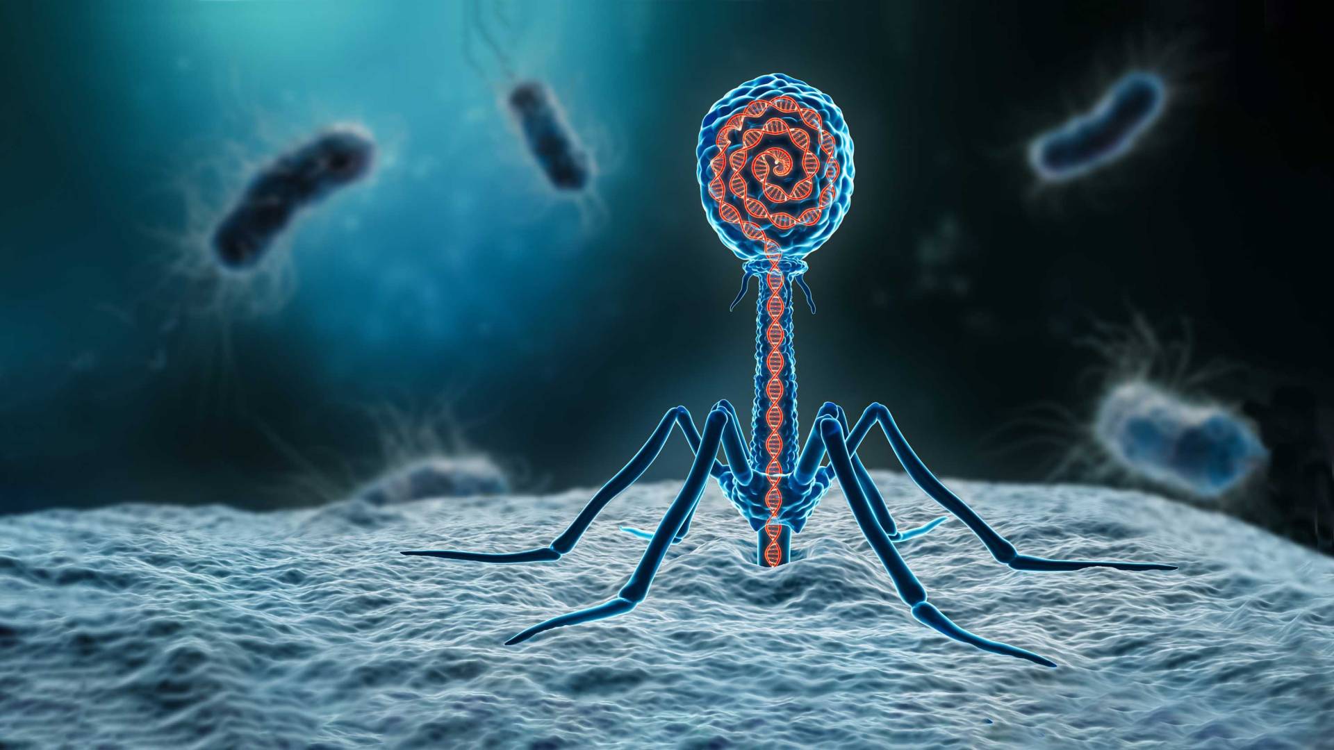Phage Wallpapers - Top Free Phage Backgrounds - WallpaperAccess
