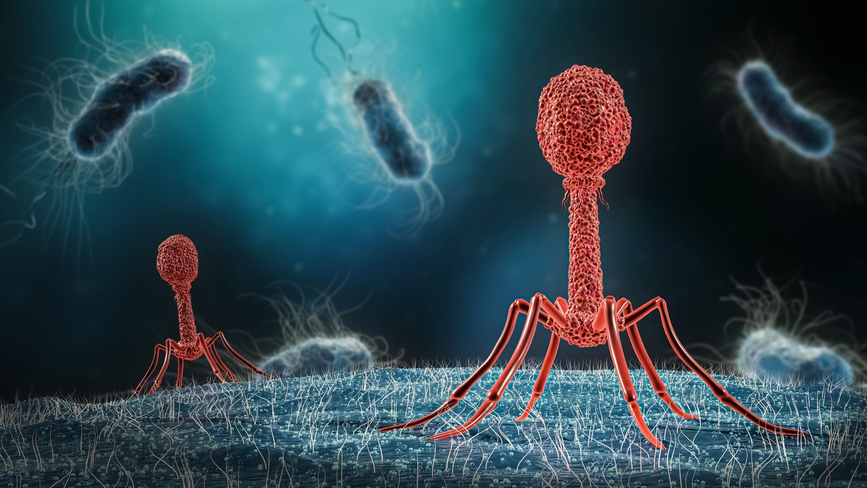 Phage Wallpapers - Top Free Phage Backgrounds - WallpaperAccess