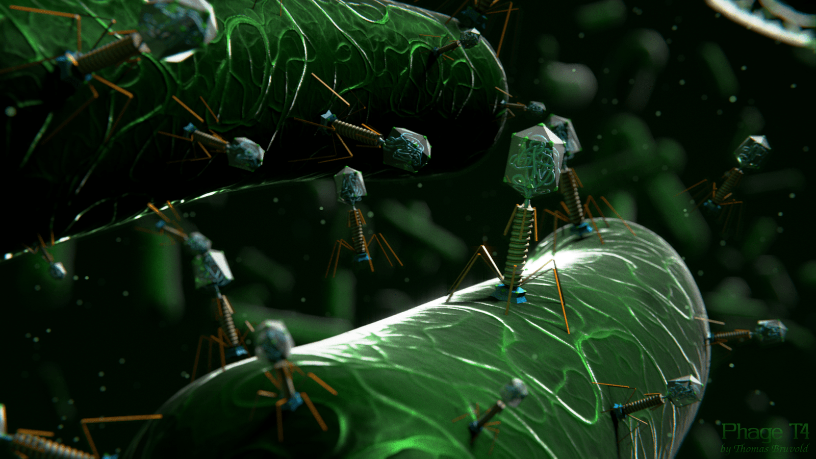 Phage Wallpapers - Top Free Phage Backgrounds - WallpaperAccess