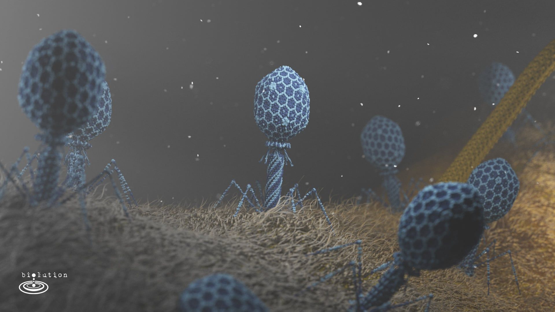 Phage Wallpapers - Top Free Phage Backgrounds - WallpaperAccess