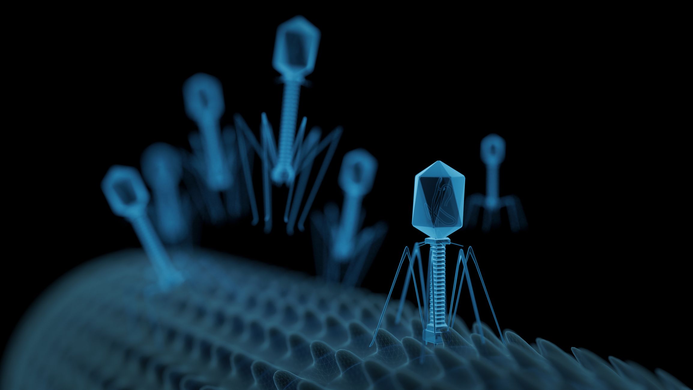 Phage Wallpapers - Top Free Phage Backgrounds - WallpaperAccess