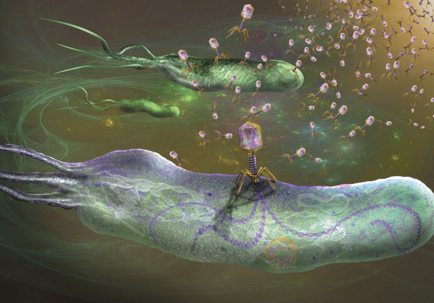 Phage Wallpapers - Top Free Phage Backgrounds - WallpaperAccess