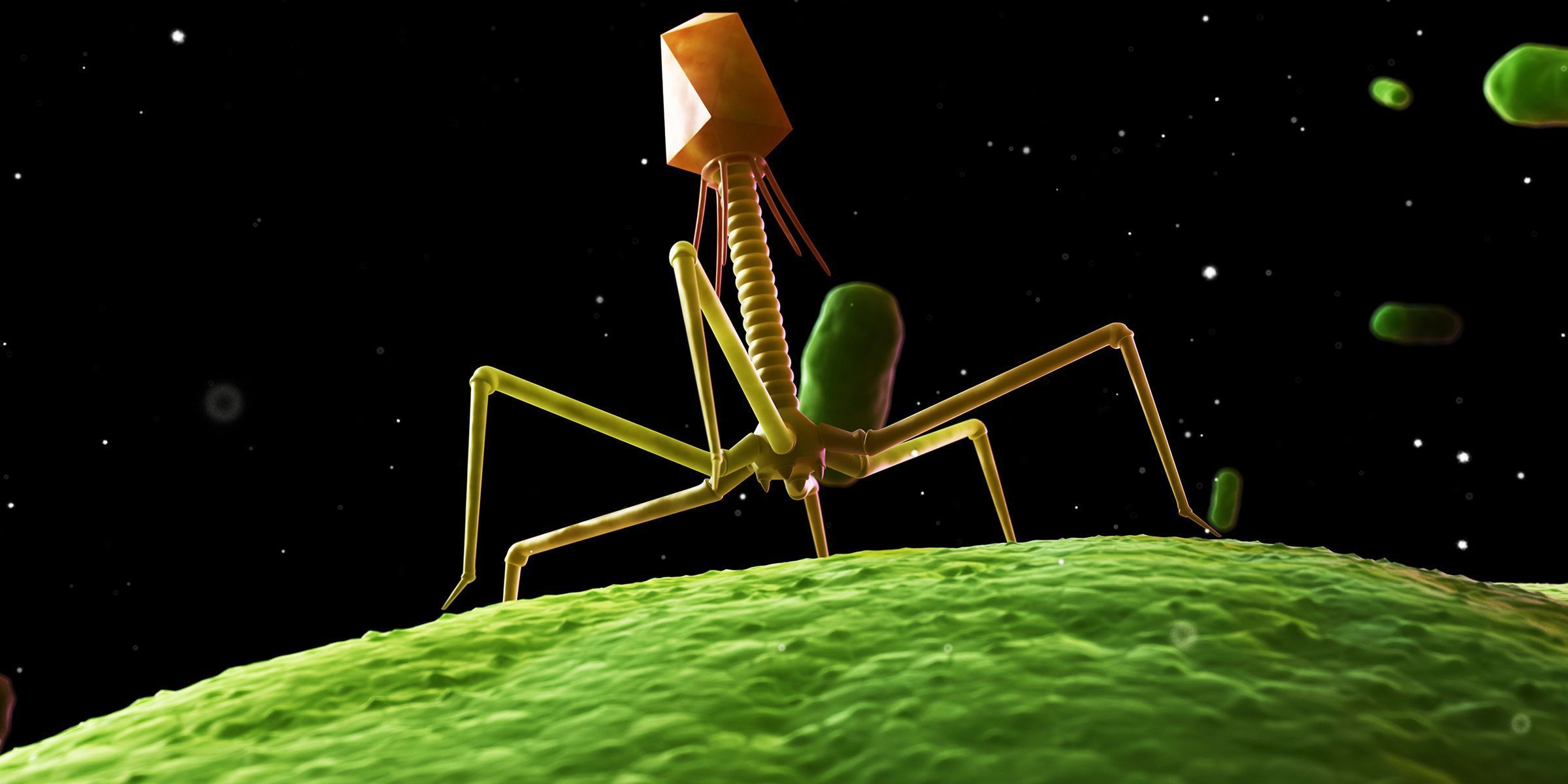 Phage Wallpapers - Top Free Phage Backgrounds - WallpaperAccess