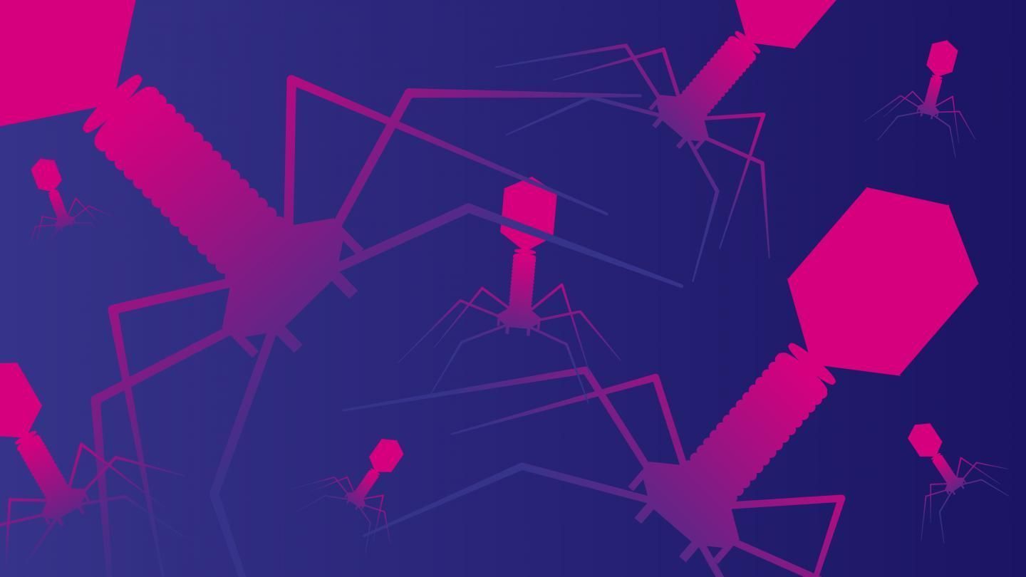 Phage Wallpapers - Top Free Phage Backgrounds - WallpaperAccess