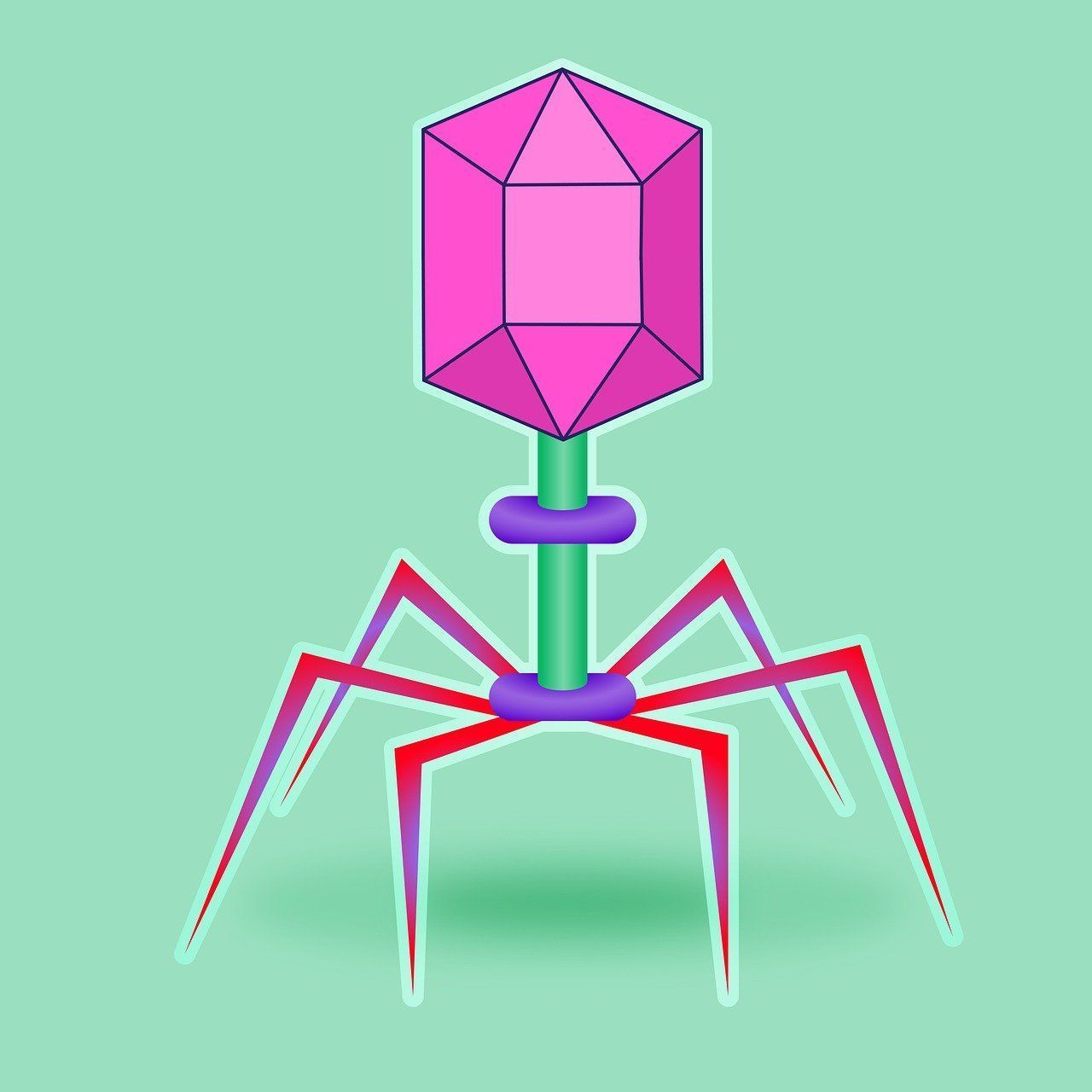 Phage Wallpapers - Top Free Phage Backgrounds - WallpaperAccess
