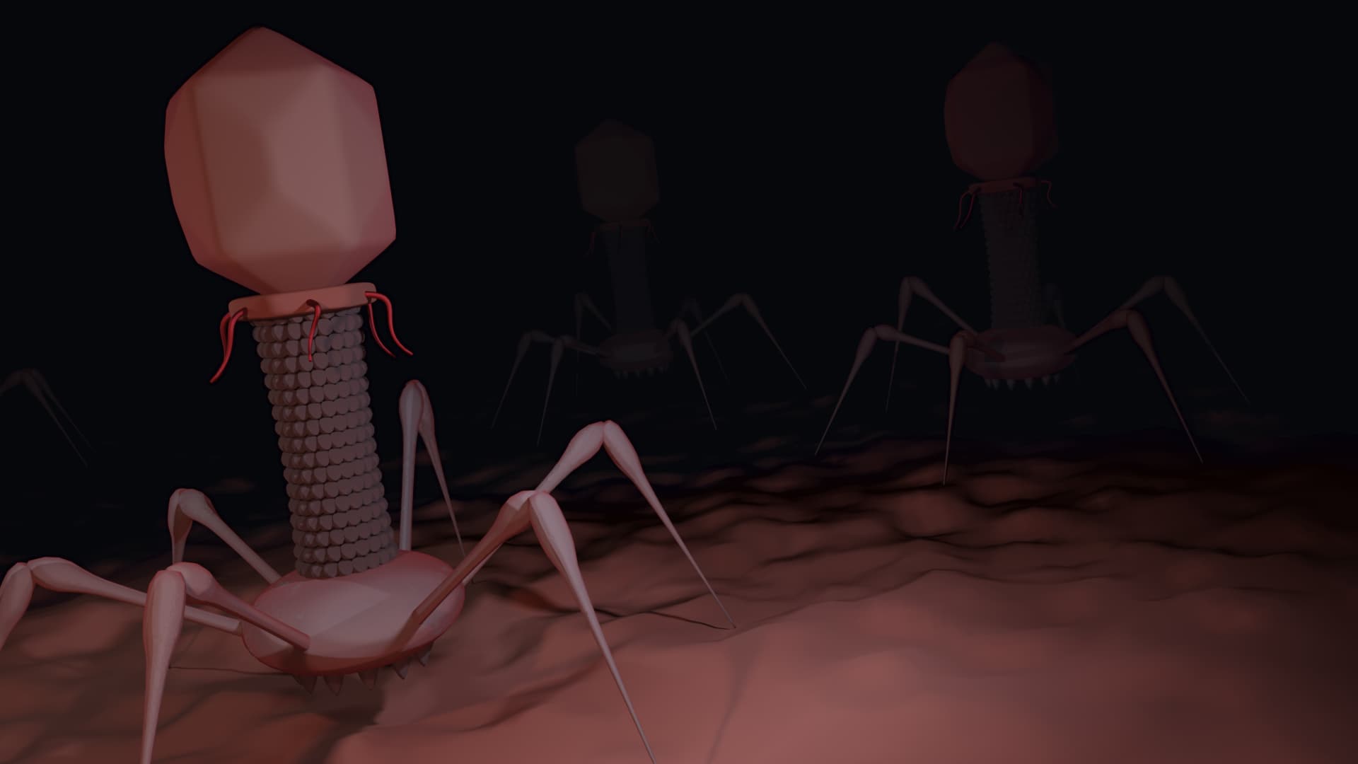 Phage Wallpapers - Top Free Phage Backgrounds - WallpaperAccess