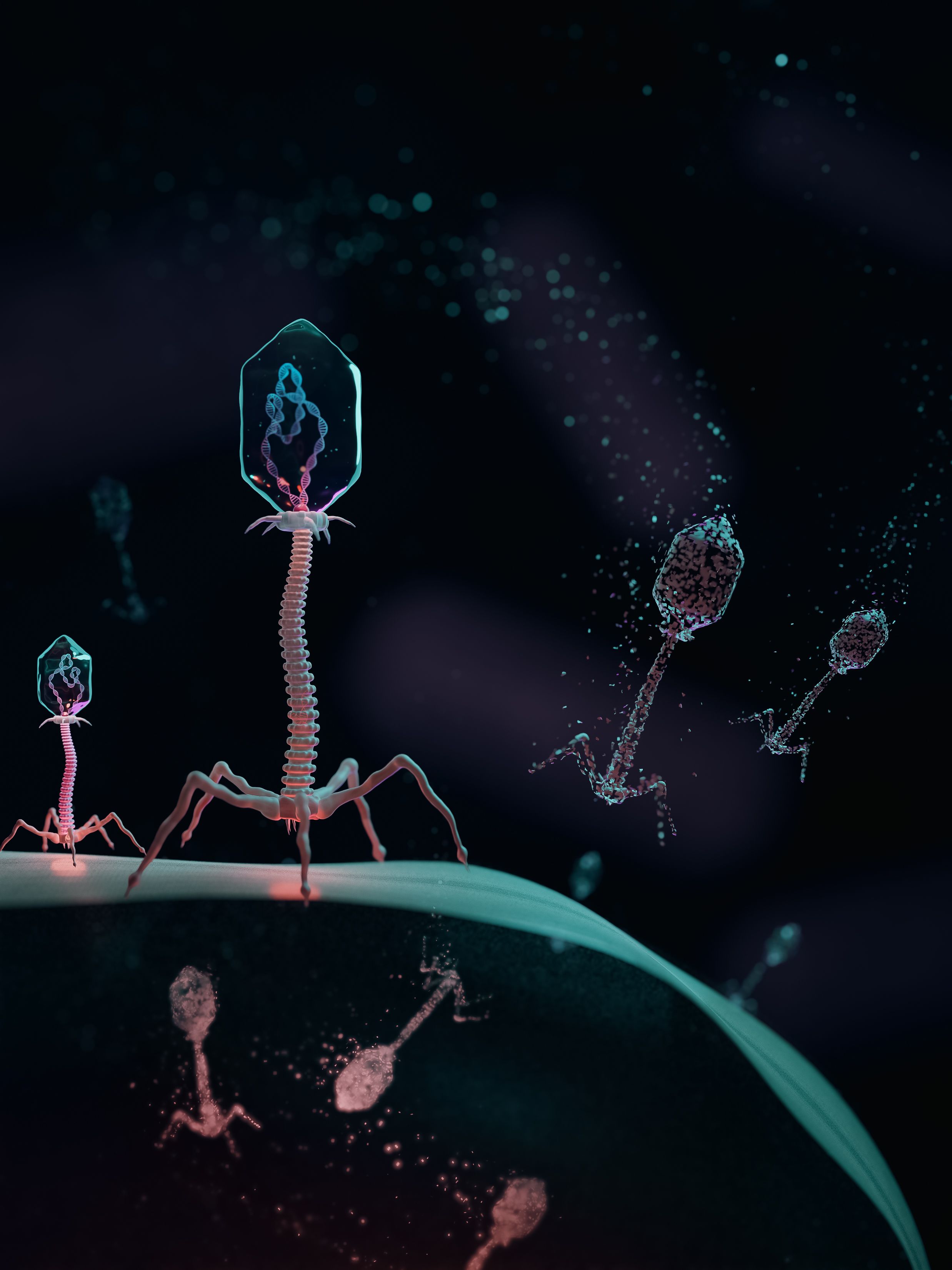 Phage Wallpapers - Top Free Phage Backgrounds - WallpaperAccess