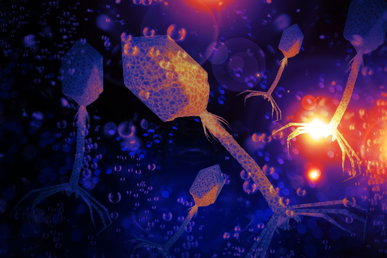Phage Wallpapers - Top Free Phage Backgrounds - WallpaperAccess
