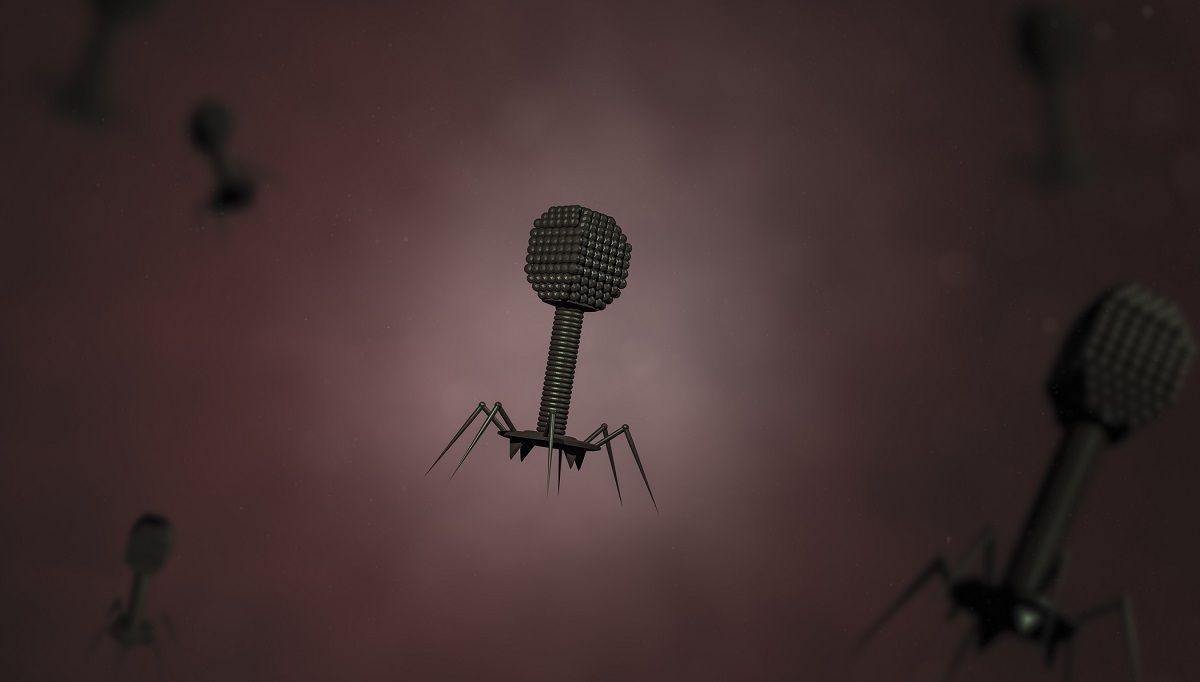 Phage Wallpapers - Top Free Phage Backgrounds - WallpaperAccess