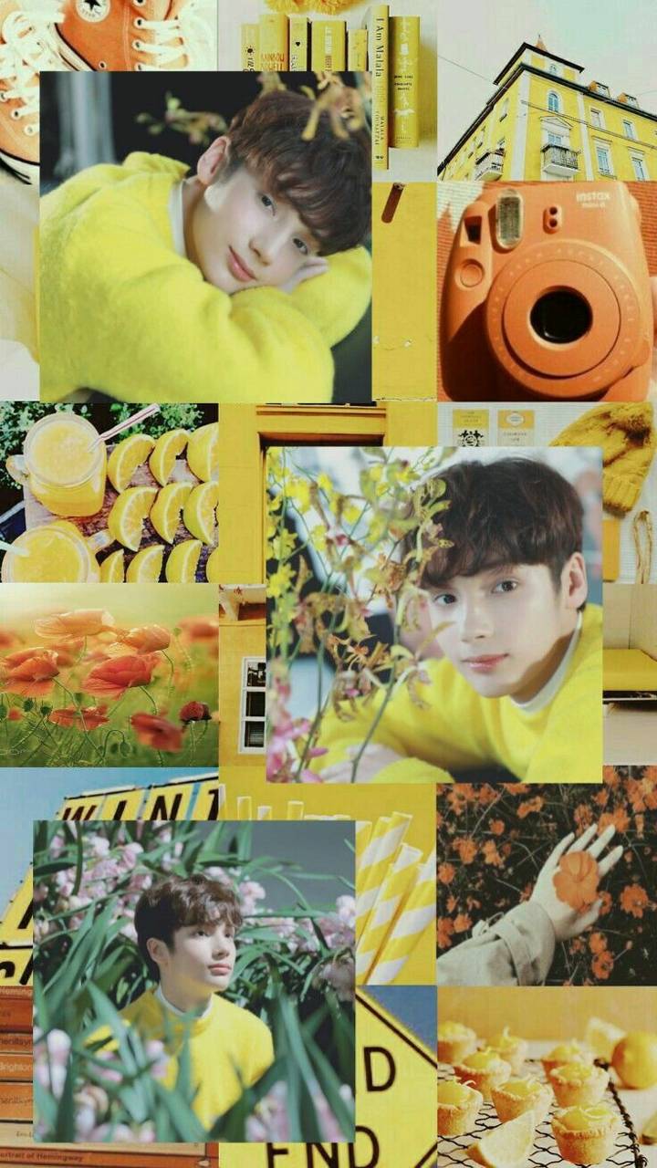 TXT Wallpapers - Top Free TXT Backgrounds - WallpaperAccess