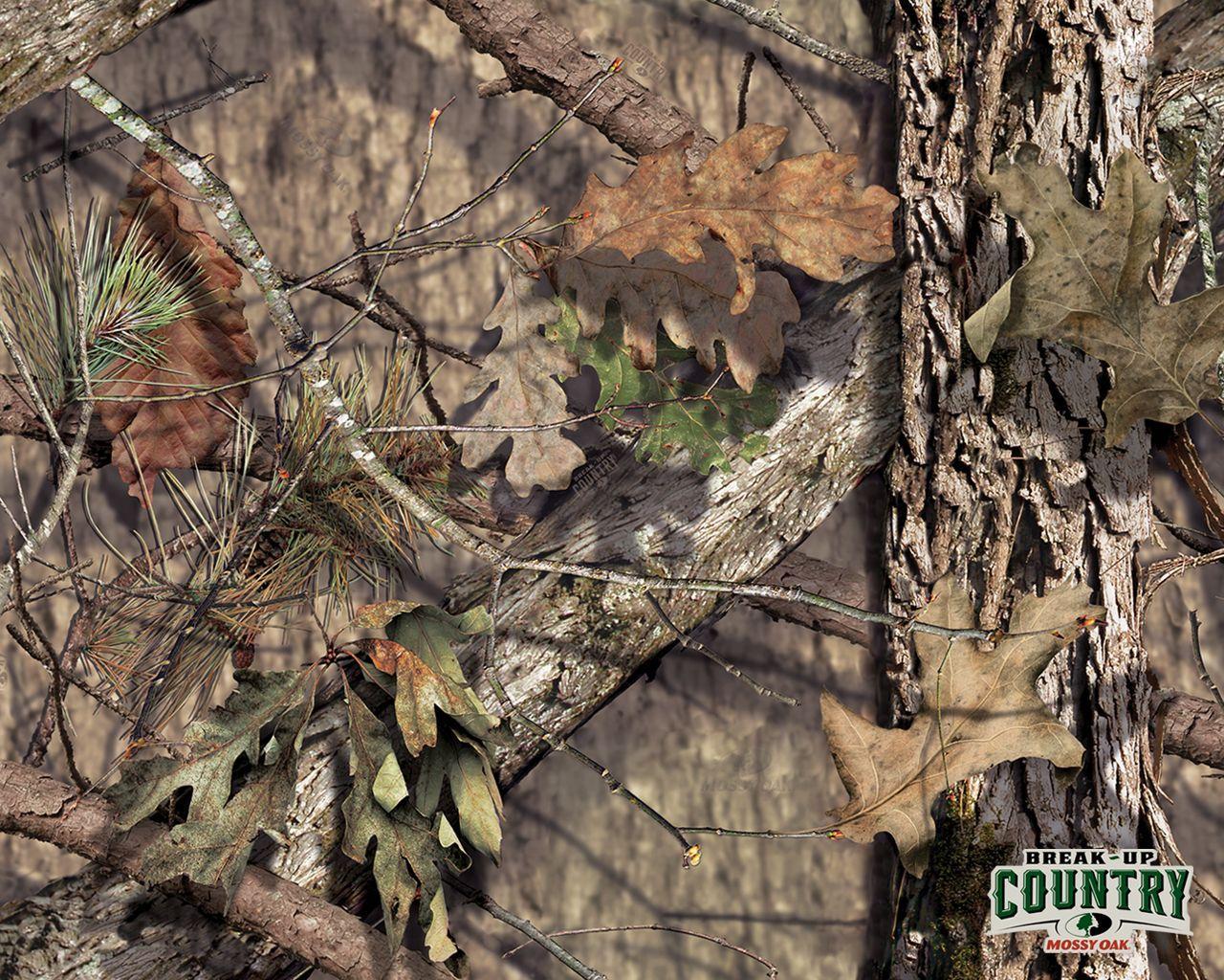 Mossy Oak Wallpapers - Top Free Mossy Oak Backgrounds - WallpaperAccess