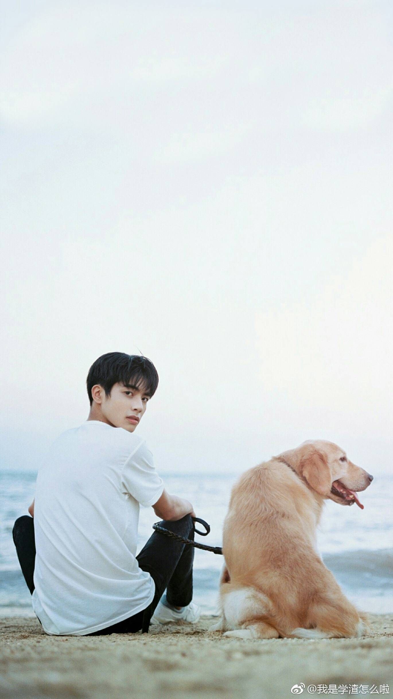 Song Weilong Wallpapers - Top Free Song Weilong Backgrounds ...