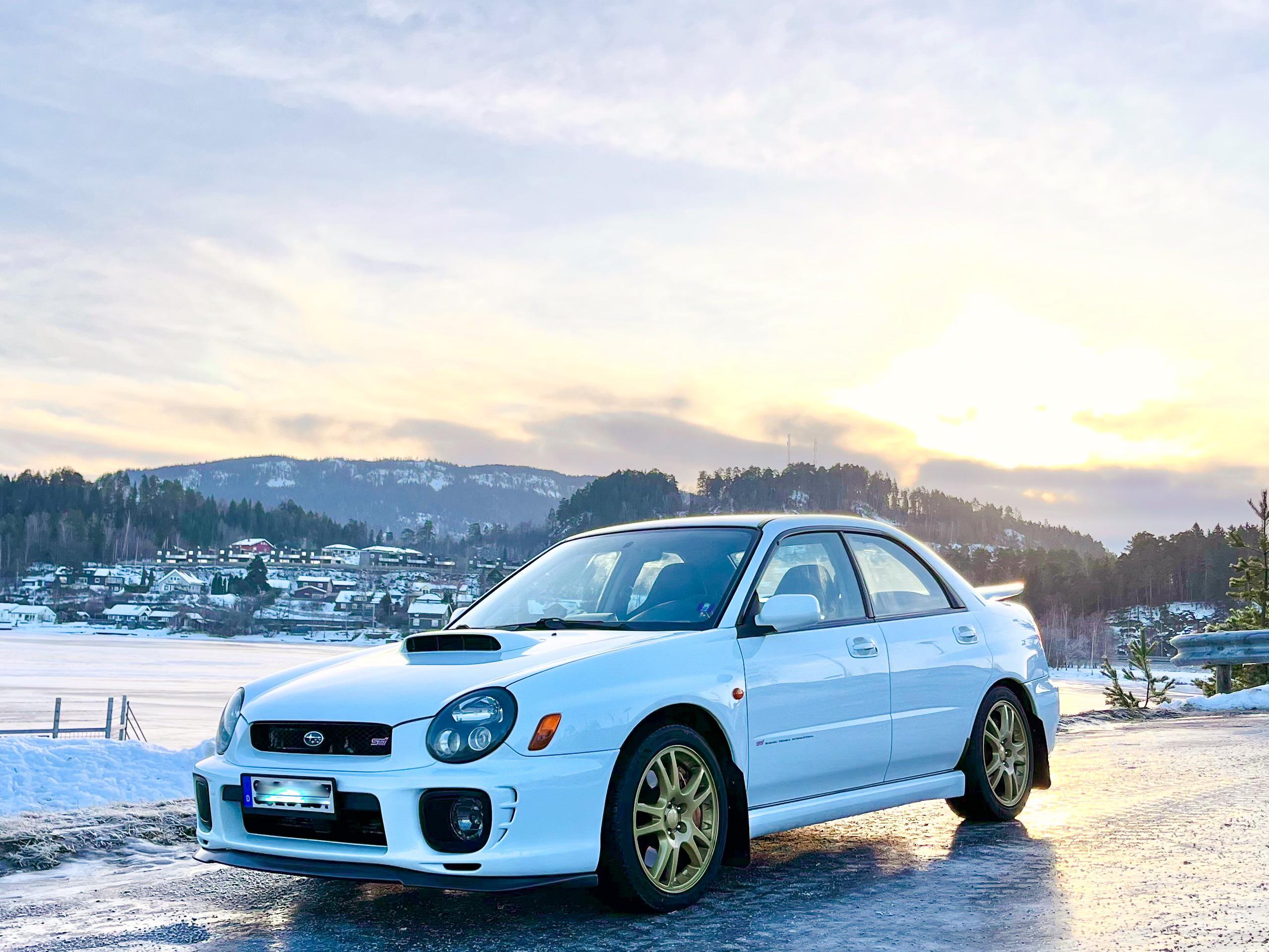 Bugeye Wallpapers - Top Free Bugeye Backgrounds - WallpaperAccess