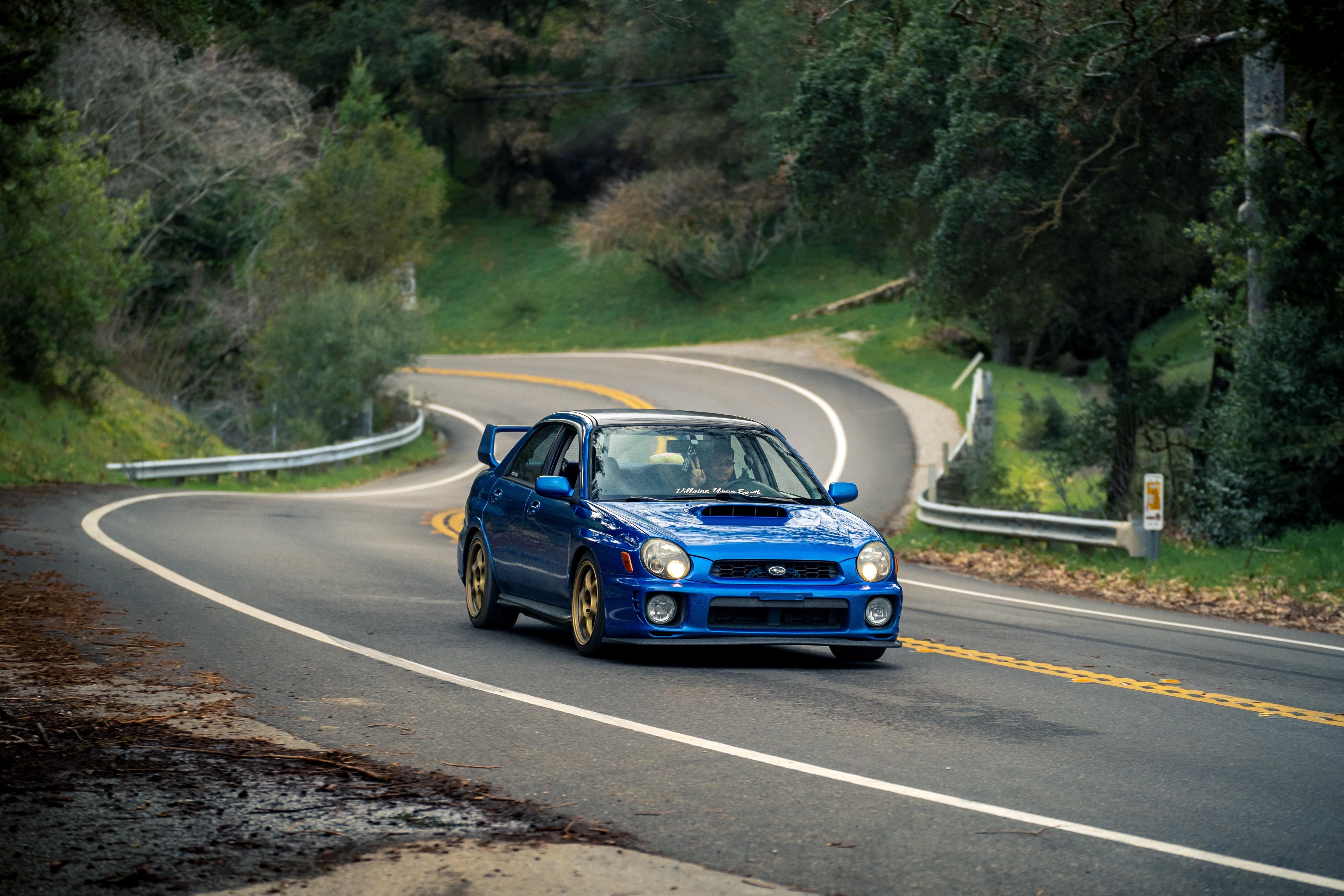 Bugeye Wallpapers - Top Free Bugeye Backgrounds - WallpaperAccess