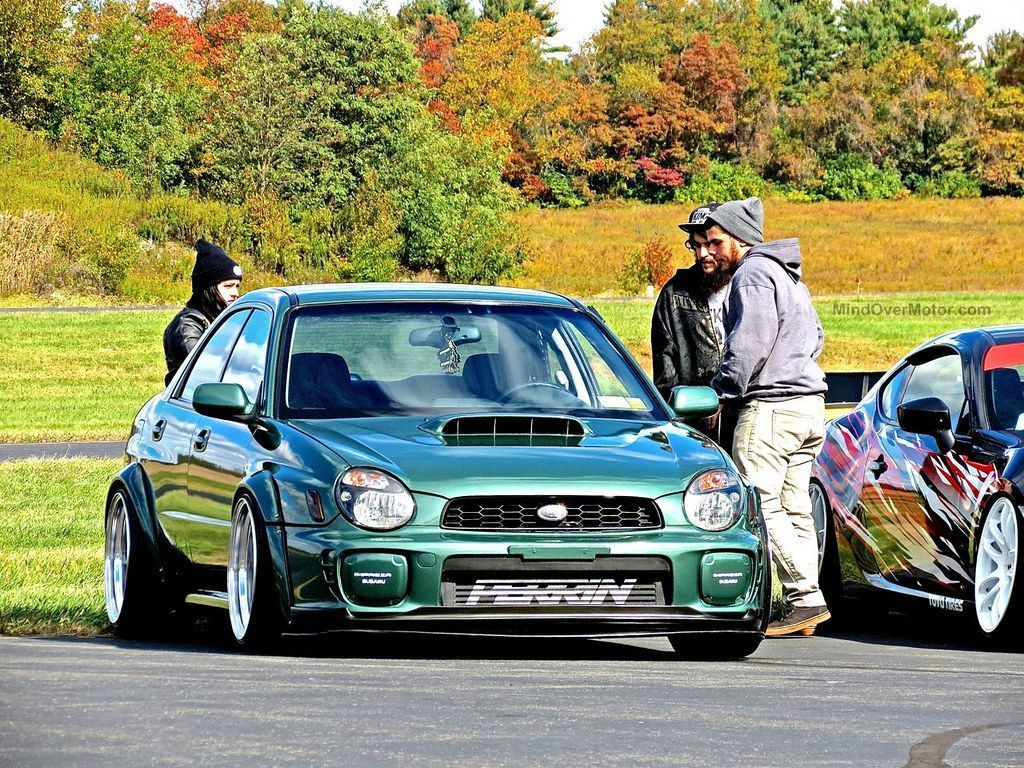 Bugeye Wallpapers - Top Free Bugeye Backgrounds - WallpaperAccess