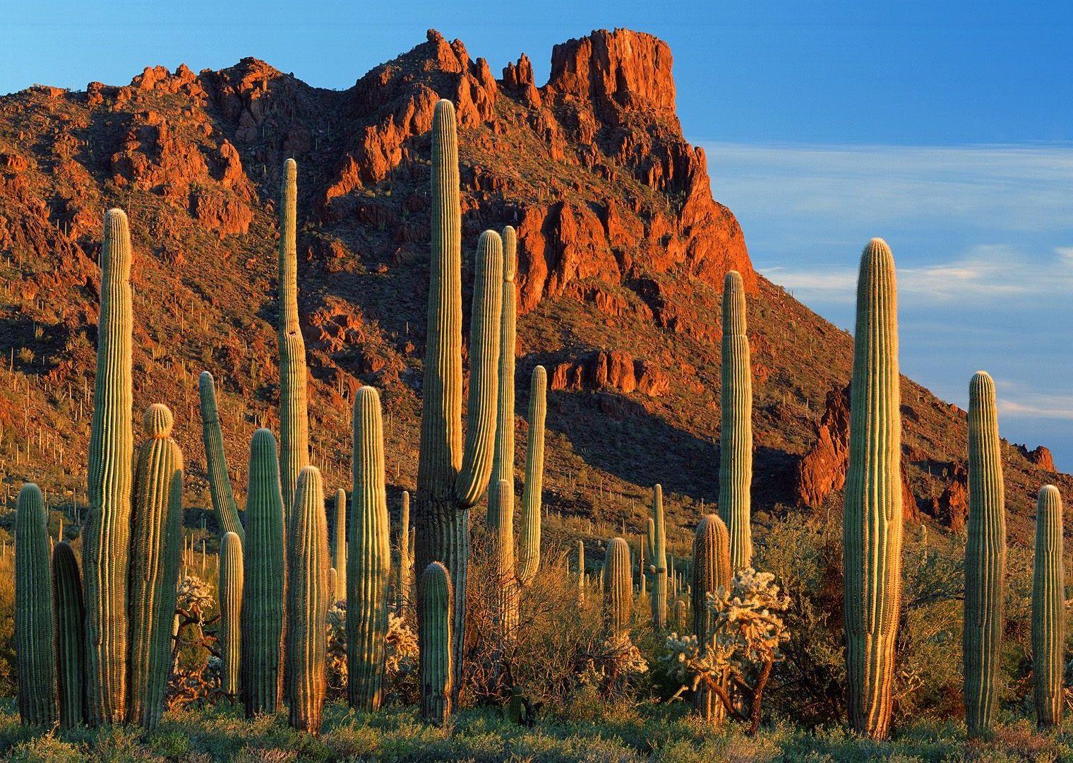 Arizona Desert HD Wallpapers - Top Free Arizona Desert HD Backgrounds ...