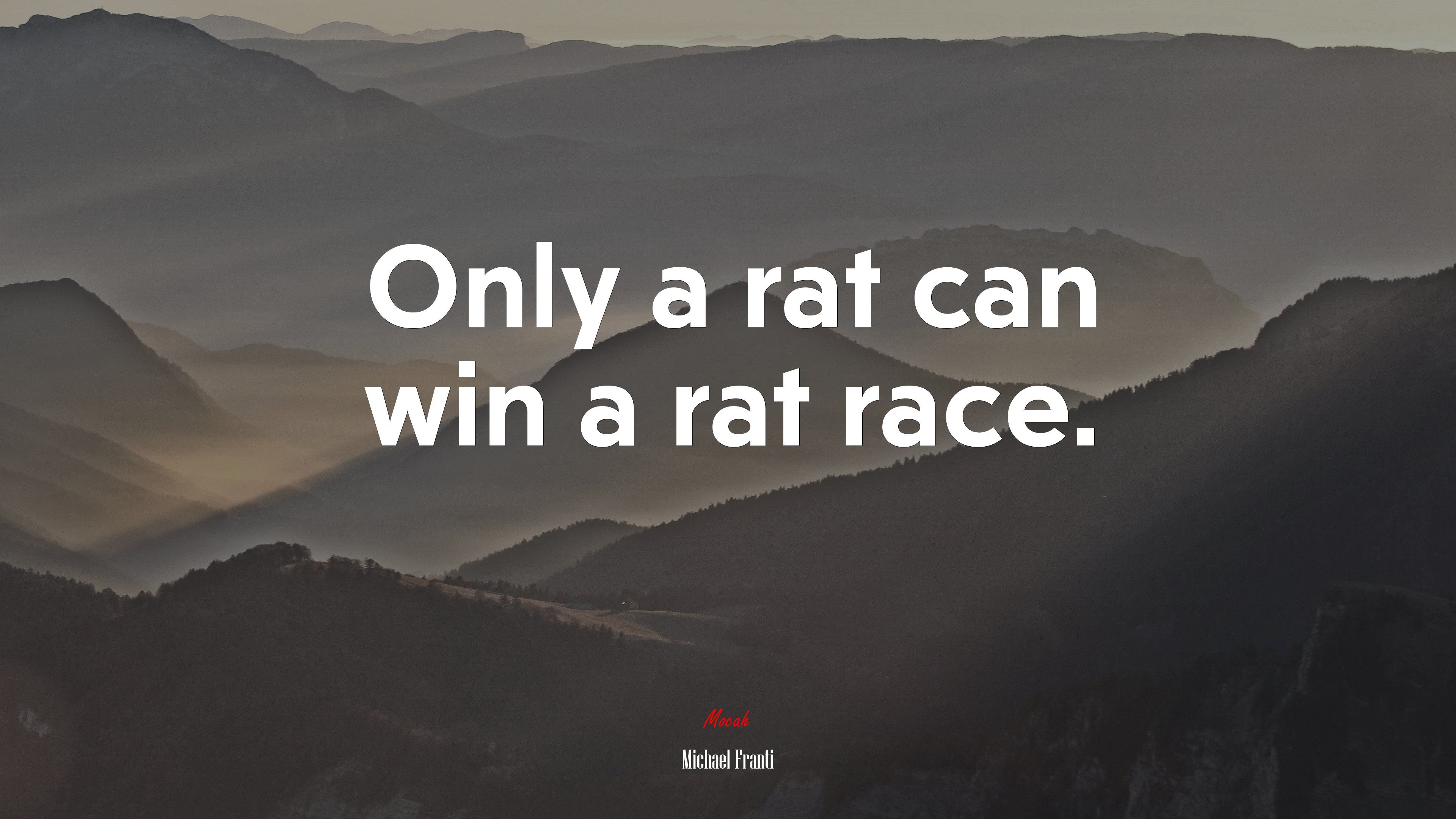 Rat Race Wallpapers - Top Free Rat Race Backgrounds - WallpaperAccess