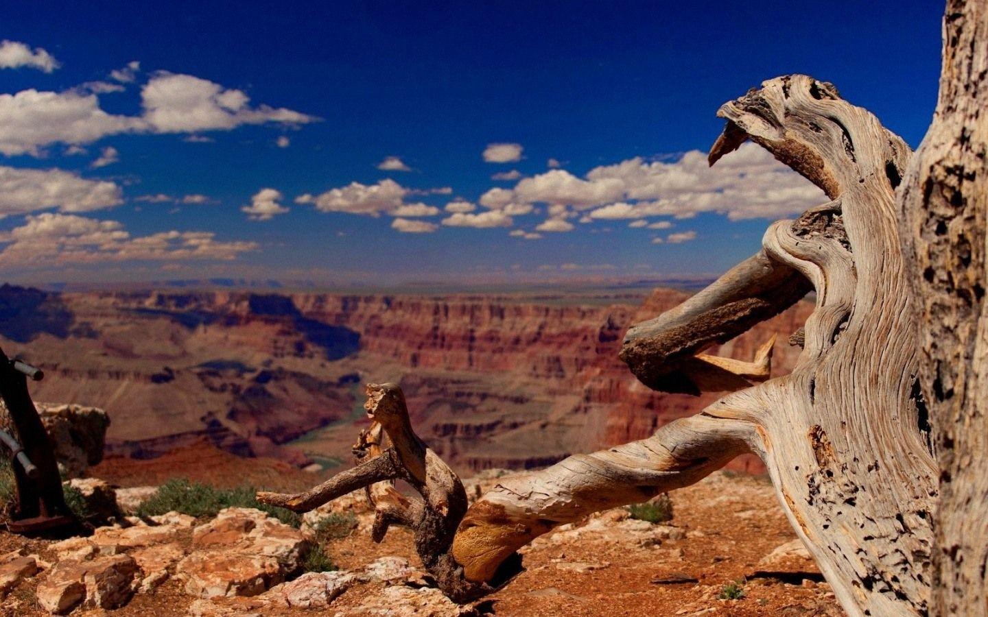 Grand Canyon HD Wallpapers - Top Free Grand Canyon HD Backgrounds ...