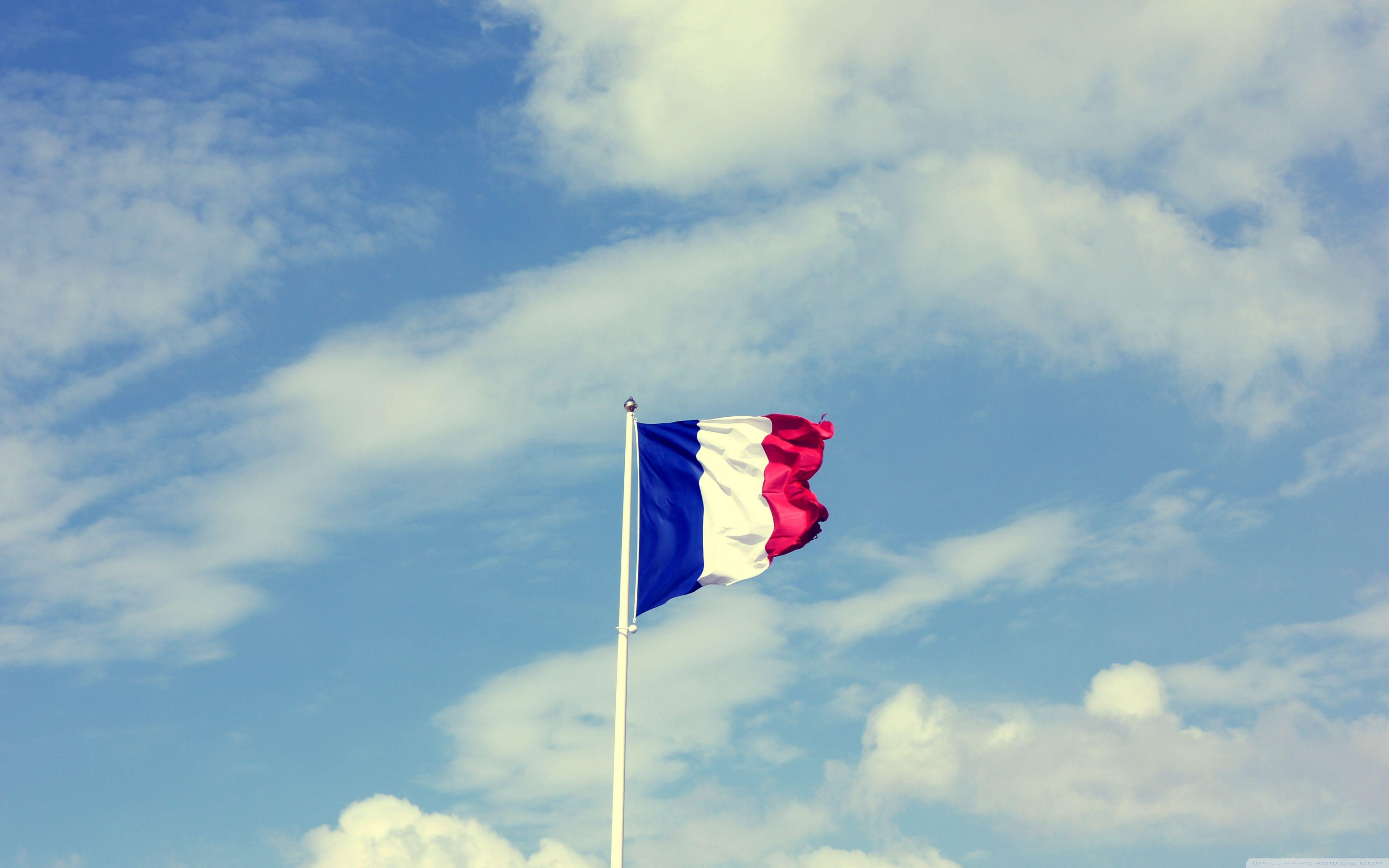 French Flag Wallpapers - Top Free French Flag Backgrounds - WallpaperAccess
