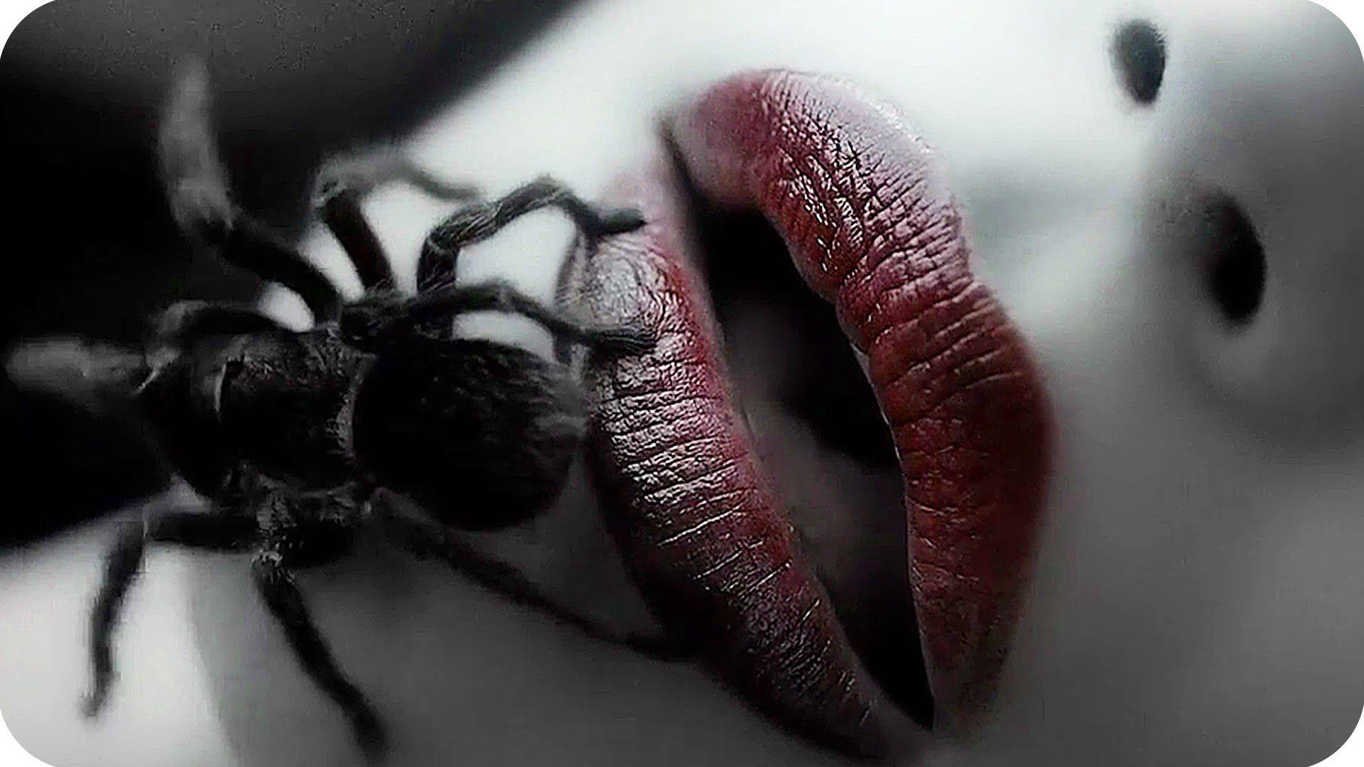 American Horror Story Wallpapers - Top Free American Horror Story ...