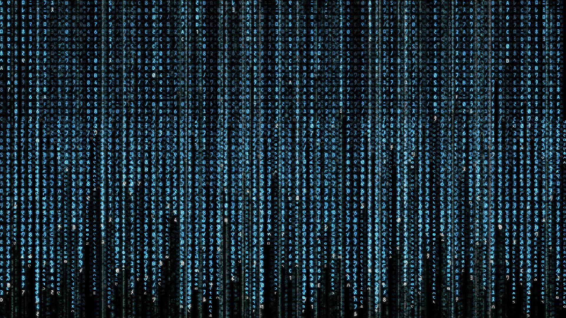 Software Wallpapers - Top Free Software Backgrounds - WallpaperAccess