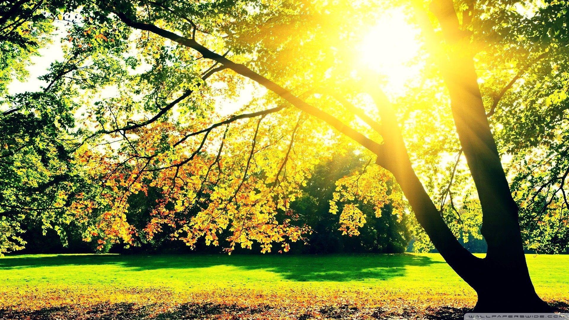 Fall Sunrise Wallpapers - Top Free Fall Sunrise Backgrounds ...