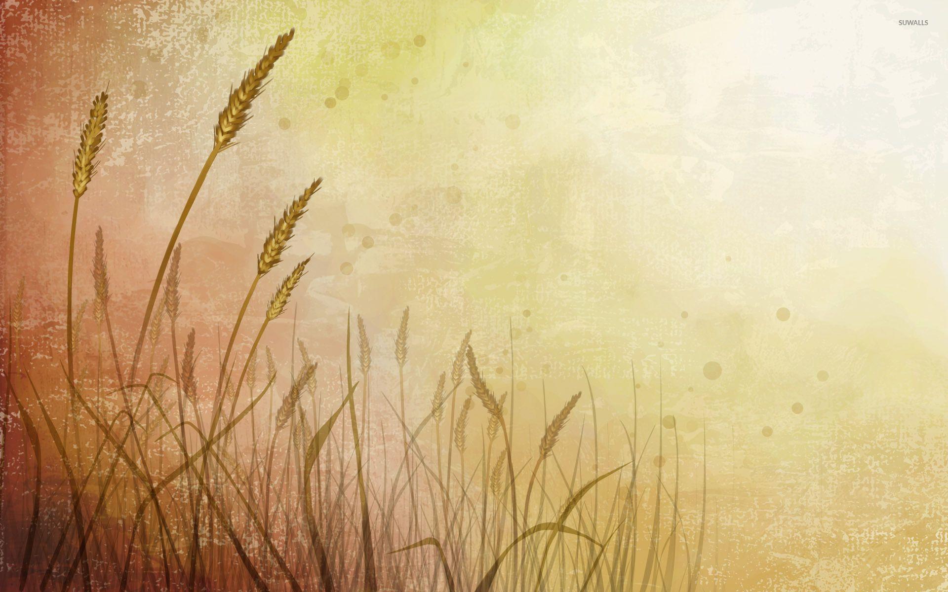 Wheat Field Wallpapers - Top Free Wheat Field Backgrounds - WallpaperAccess