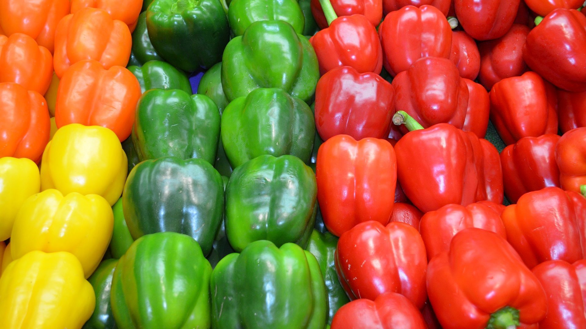 Capsicum Wallpapers - Top Free Capsicum Backgrounds - WallpaperAccess