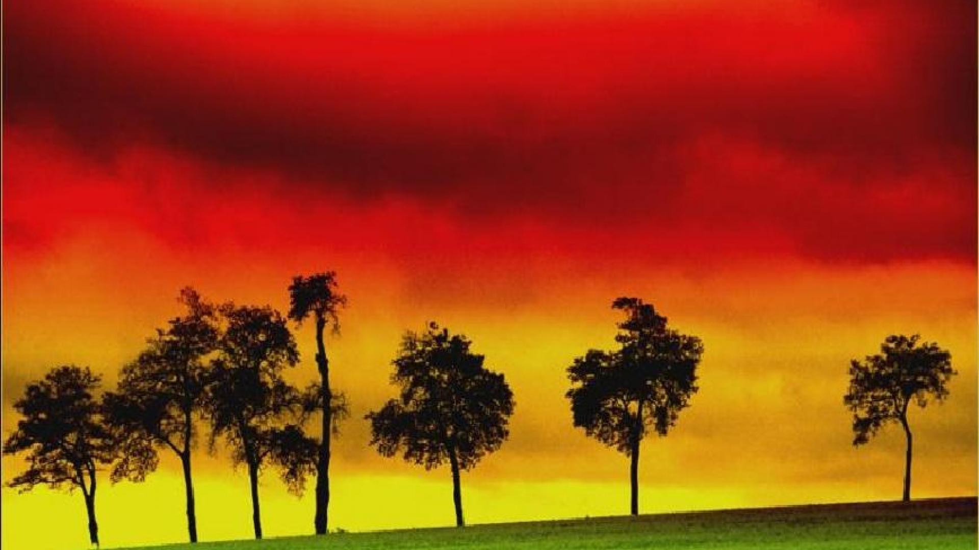 Reggae Wallpapers - Top Những Hình Ảnh Đẹp