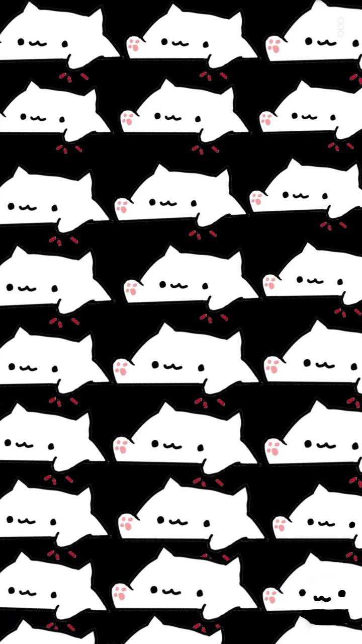 Bongo Cat Wallpapers - Top Free Bongo Cat Backgrounds - WallpaperAccess