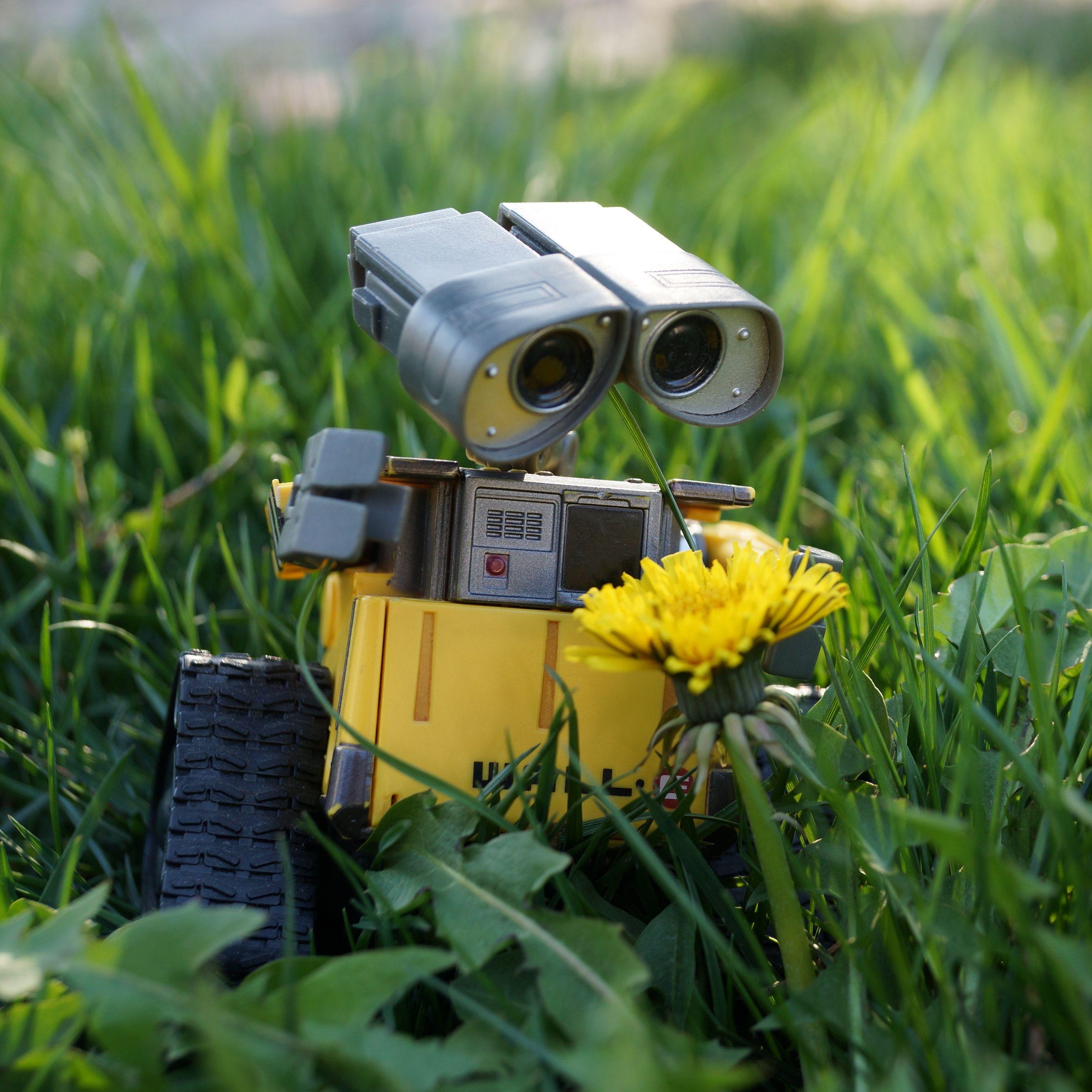 WALL-E Wallpapers - Top Free WALL-E Backgrounds - WallpaperAccess