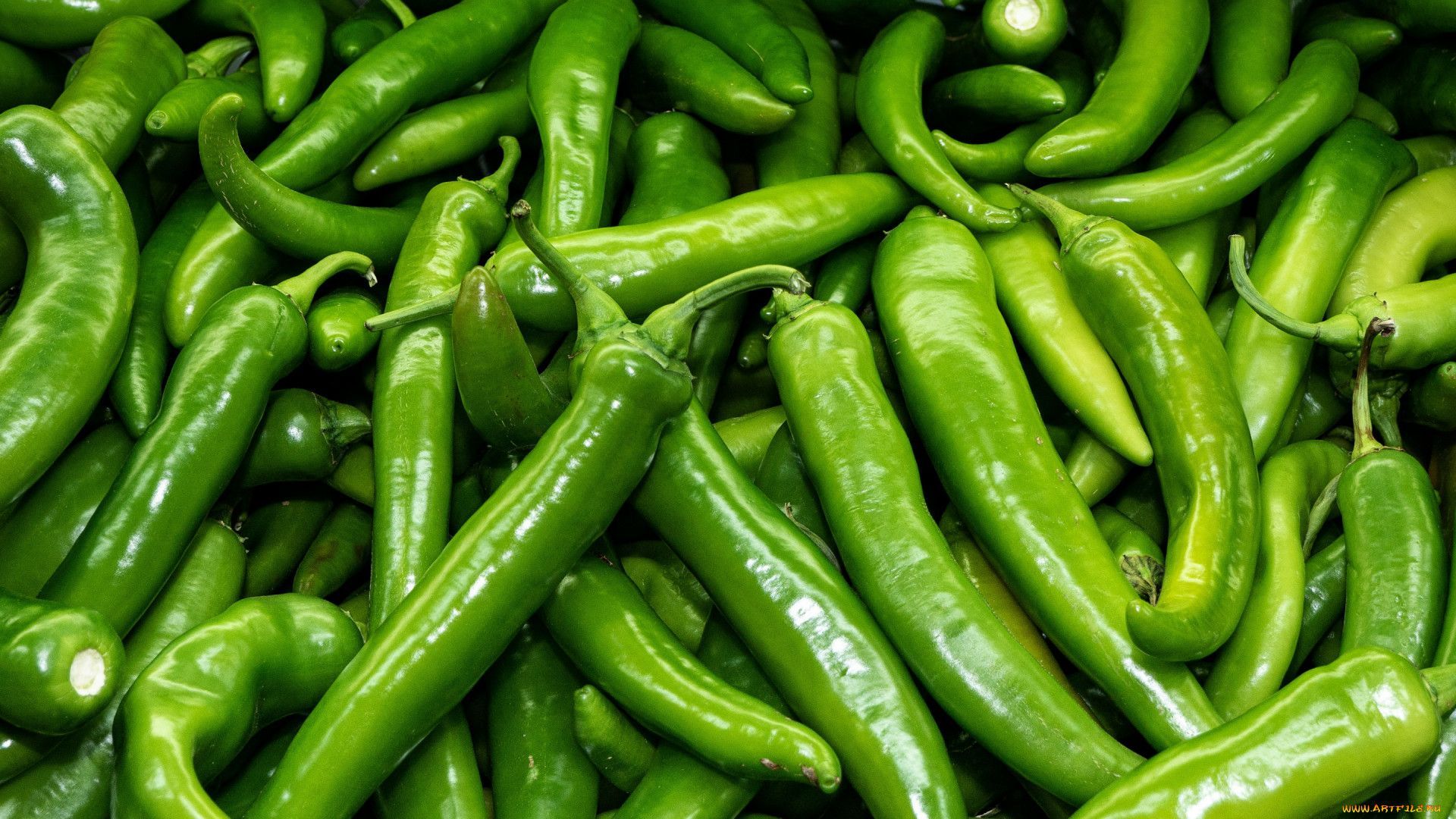 Green Chili Wallpapers - Top Free Green Chili Backgrounds - WallpaperAccess
