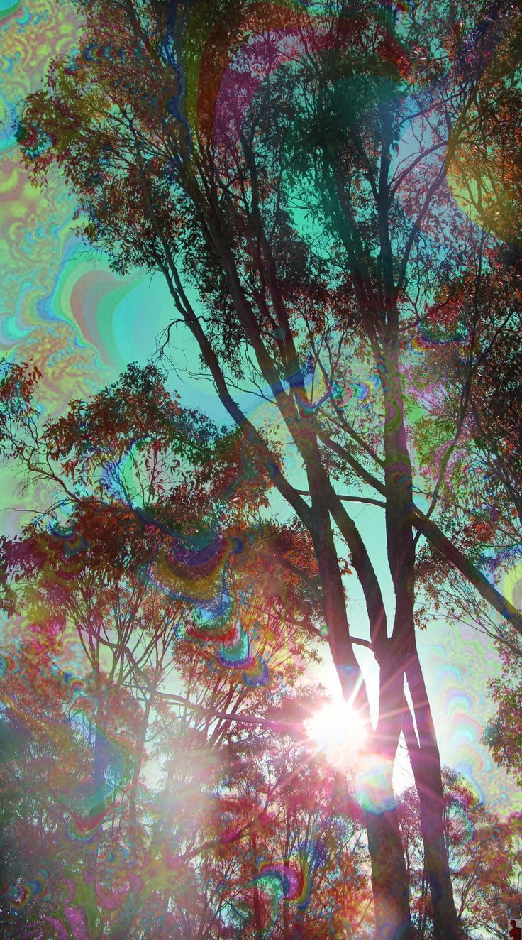 Trippy Forest Wallpapers - Top Free Trippy Forest Backgrounds ...