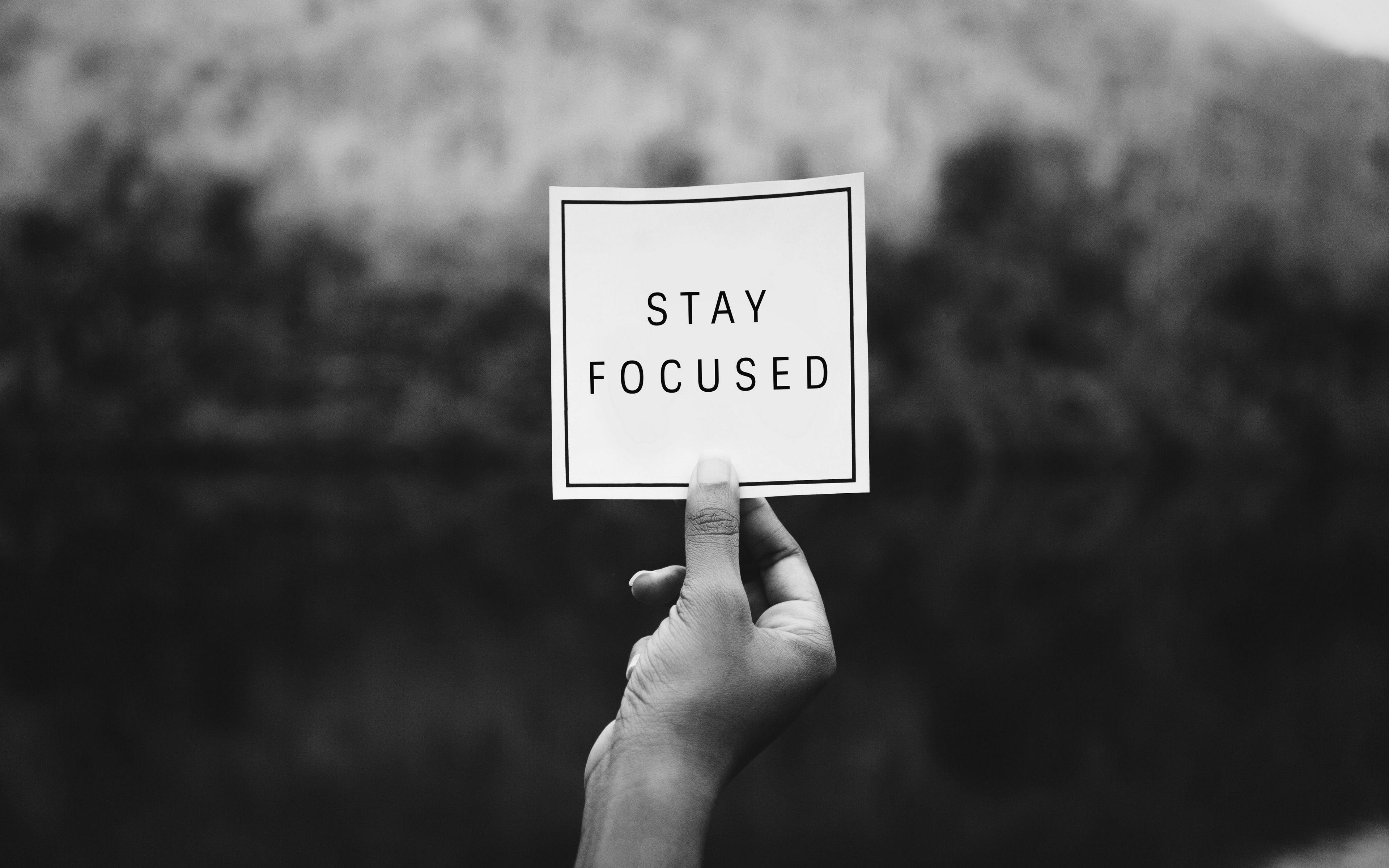 Focus Wallpapers - Top Free Focus Backgrounds - WallpaperAccess
