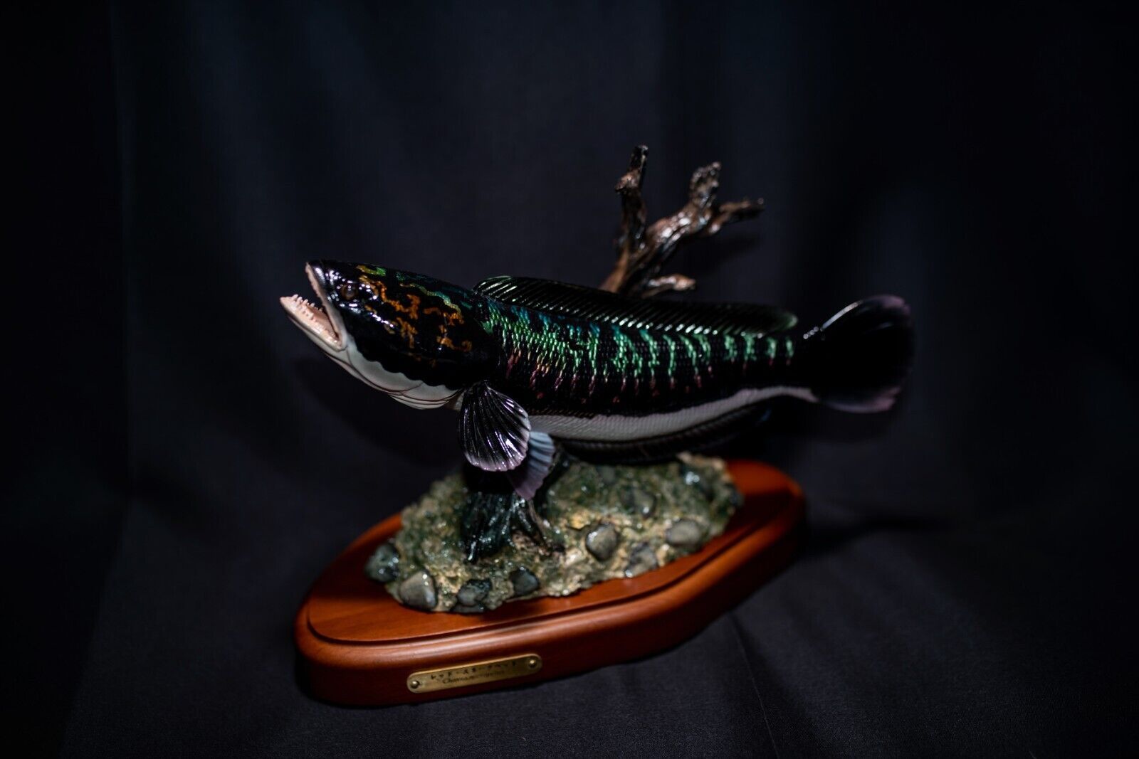 Snakehead Wallpapers - Top Free Snakehead Backgrounds - WallpaperAccess