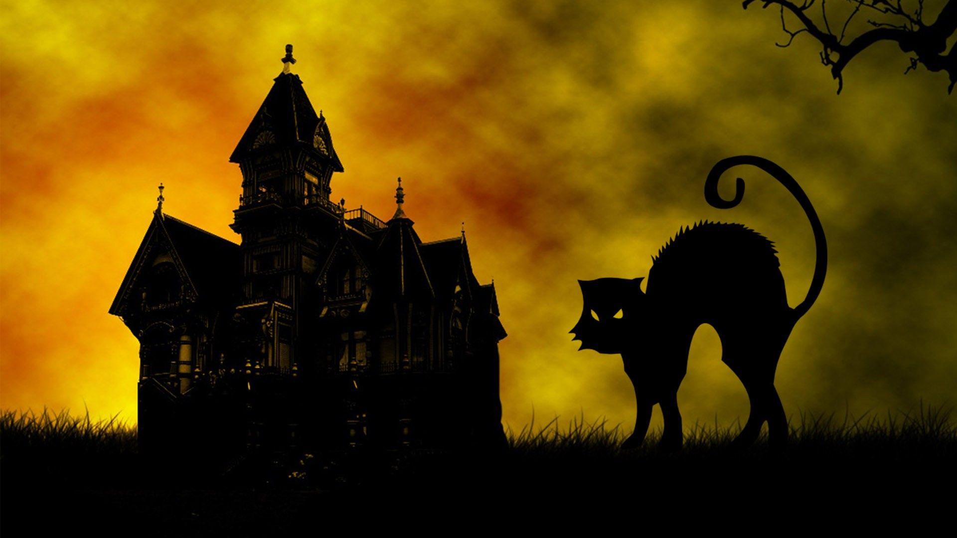 Halloween Cat Desktop Wallpapers - Top Free Halloween Cat Desktop ...
