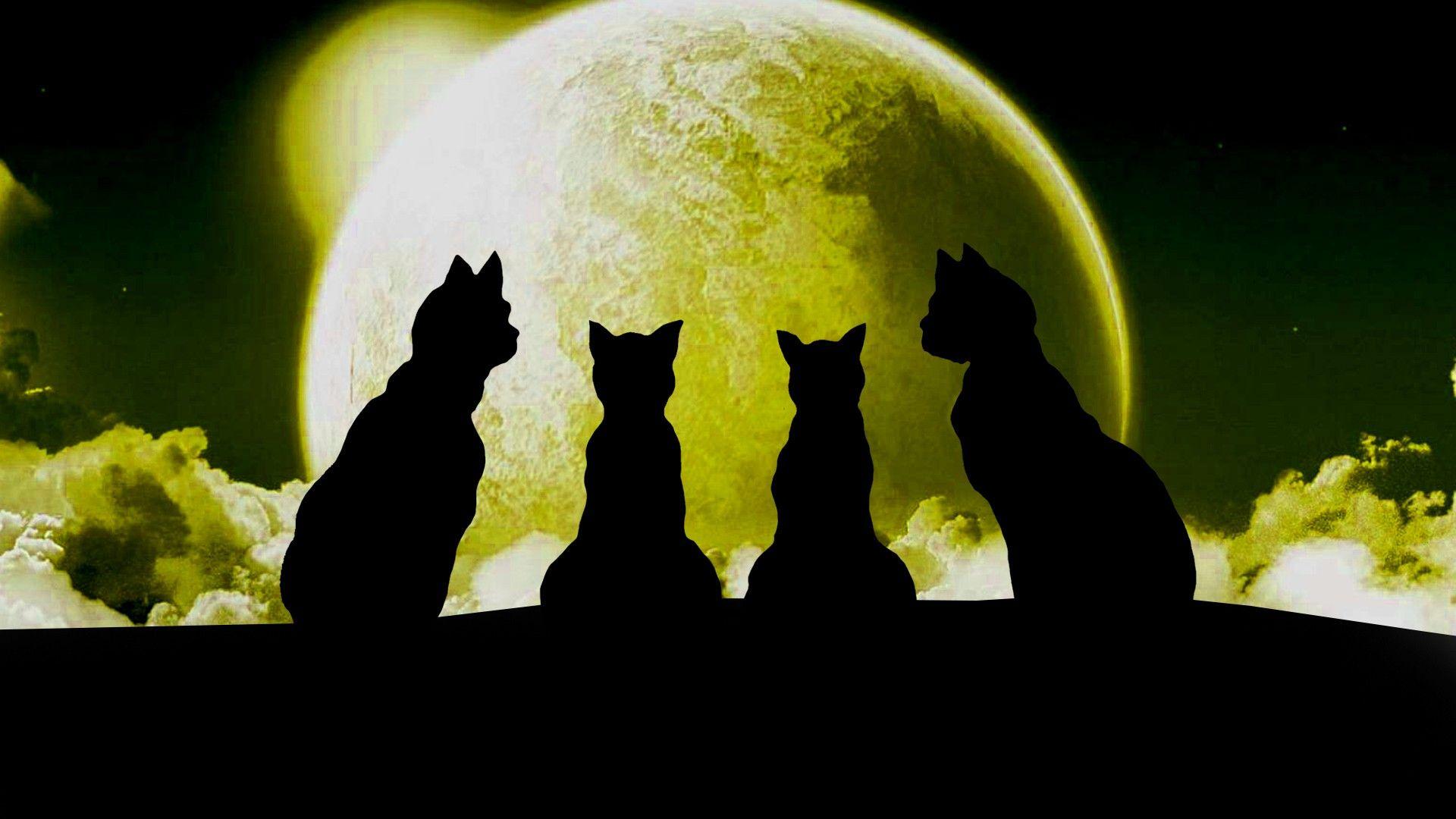 Halloween Cat Desktop Wallpapers - Top Free Halloween Cat Desktop ...