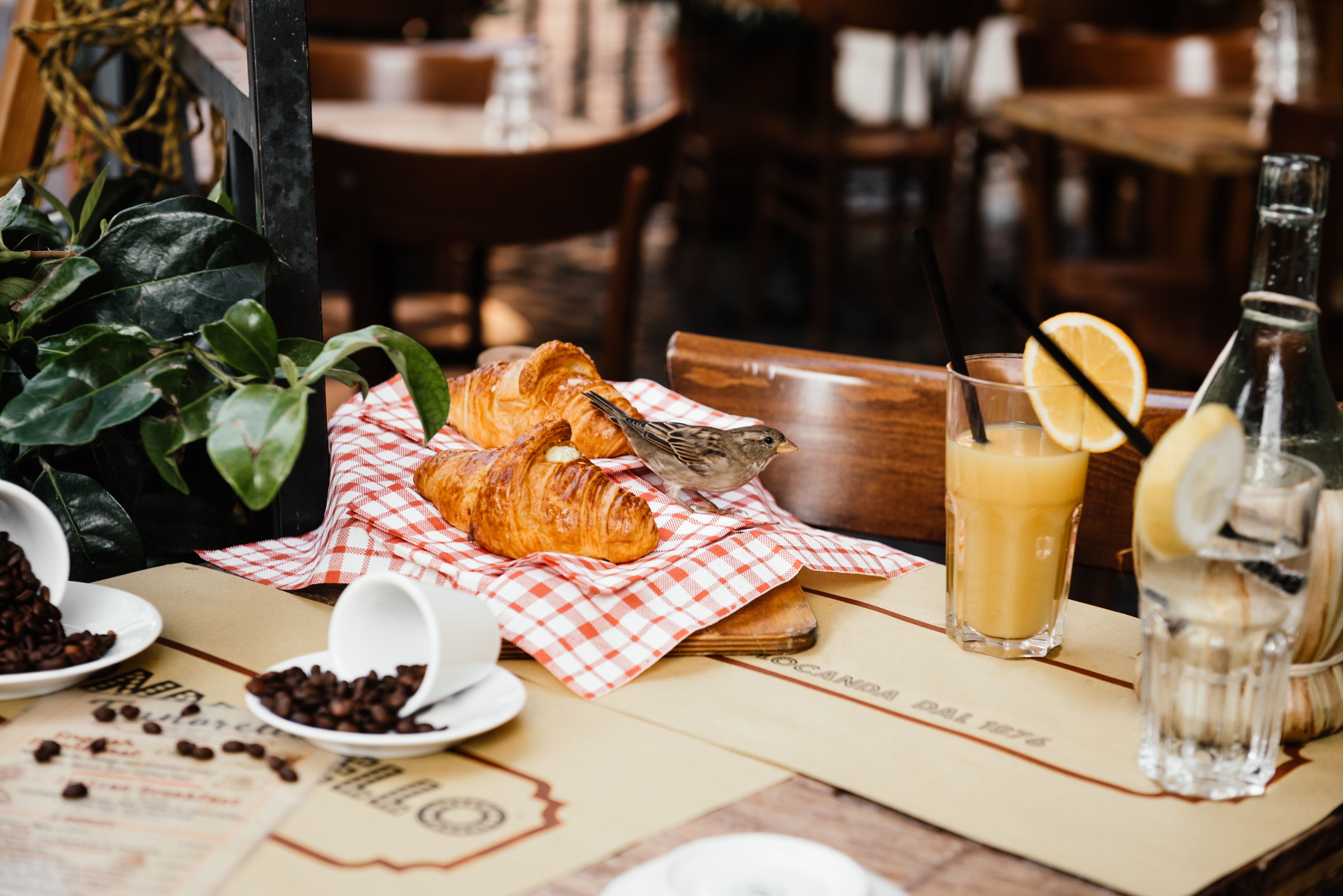 Food and Beverage Wallpapers - Top Free Food and Beverage Backgrounds ...