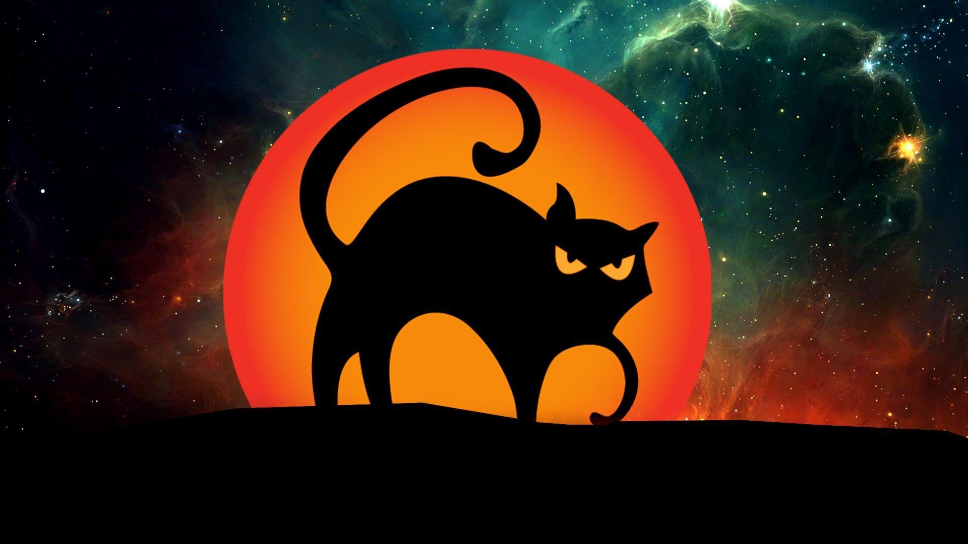 Cartoon Halloween Cat Desktop Wallpapers - Top Free Cartoon Halloween ...