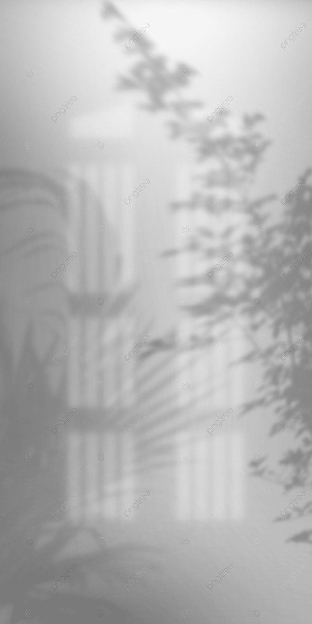 White Shadow Wallpapers - Top Free White Shadow Backgrounds ...