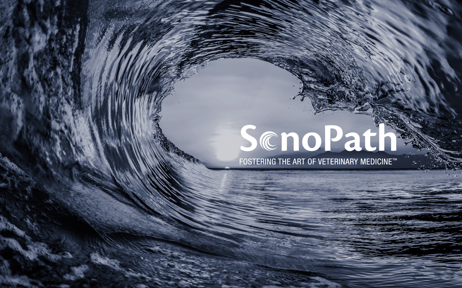 Veterinary Medicine Wallpapers - Top Free Veterinary Medicine ...