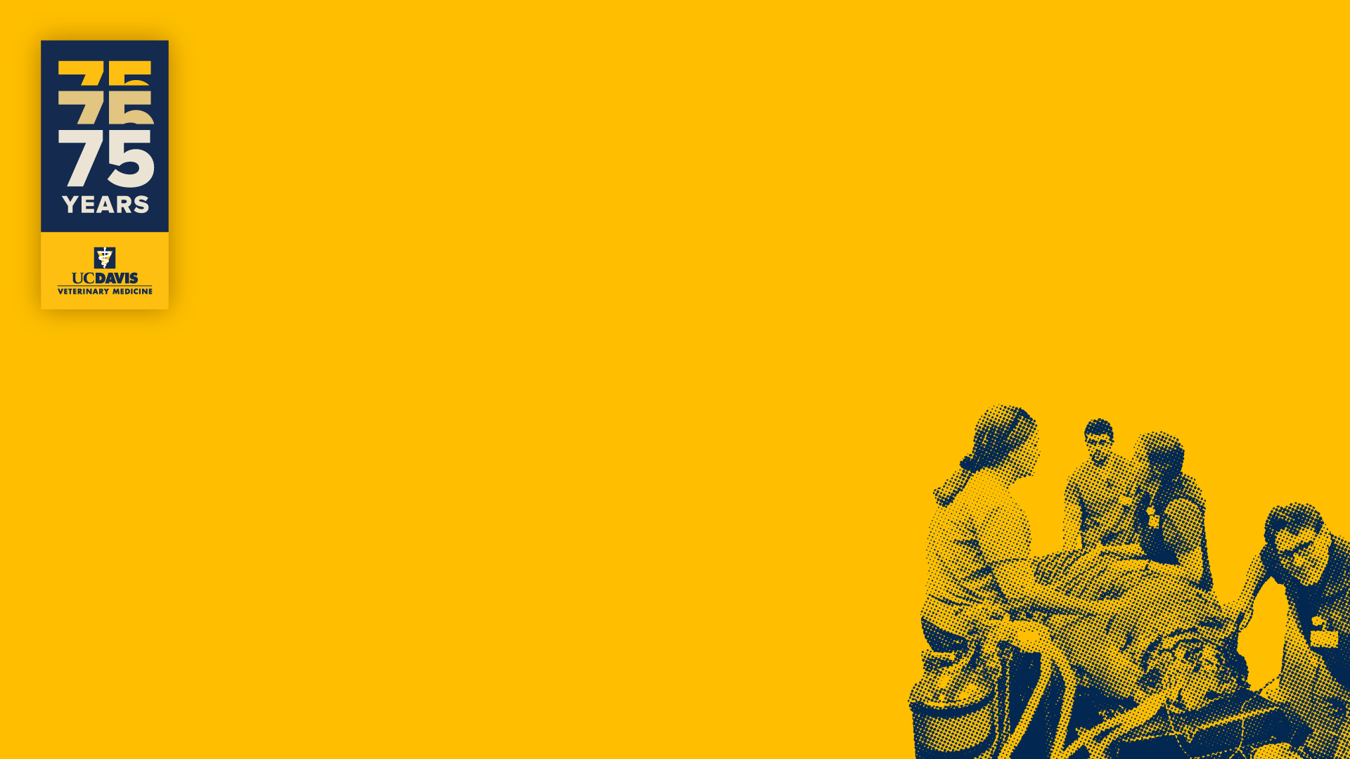 Veterinary Medicine Wallpapers - Top Free Veterinary Medicine ...