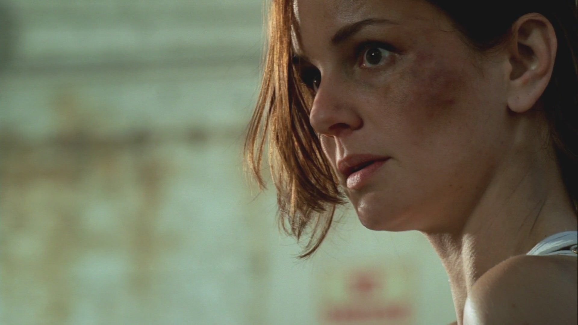 Sarah Wayne Callies Wallpapers - Top Free Sarah Wayne Callies ...