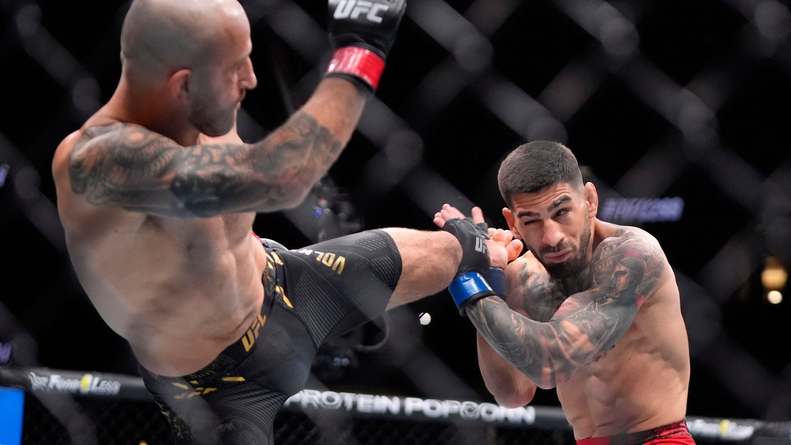 Ilia Topuria Wallpapers - Top Free Ilia Topuria Backgrounds ...