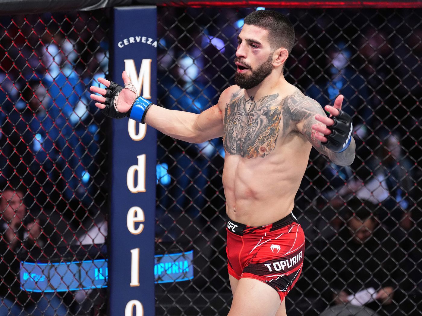 Ilia Topuria Wallpapers - Top Free Ilia Topuria Backgrounds ...